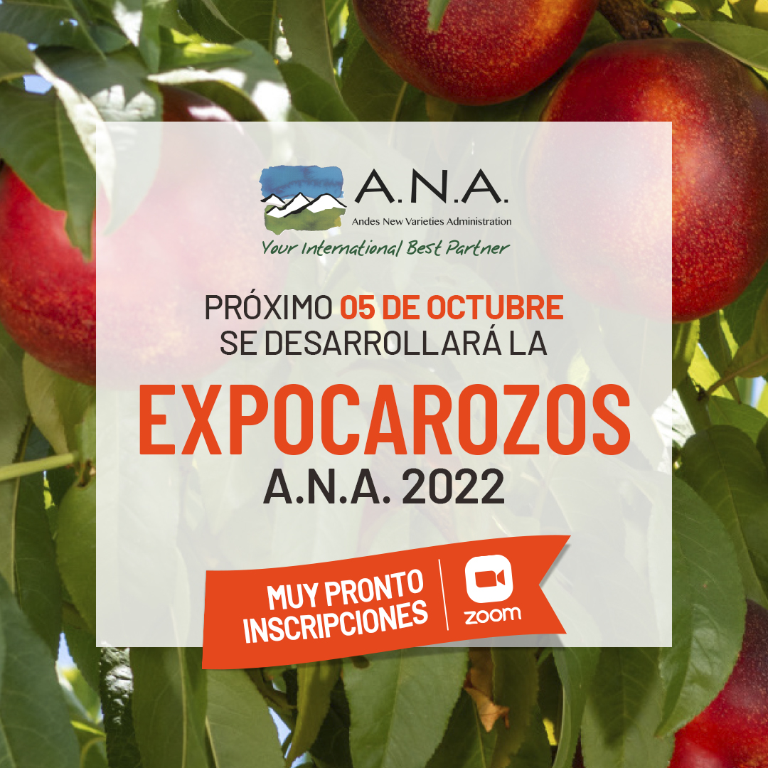 EXPOCAROZOS 2022 on-line: Miércoles 05 de Octubre Reserva el día! - ANA ...